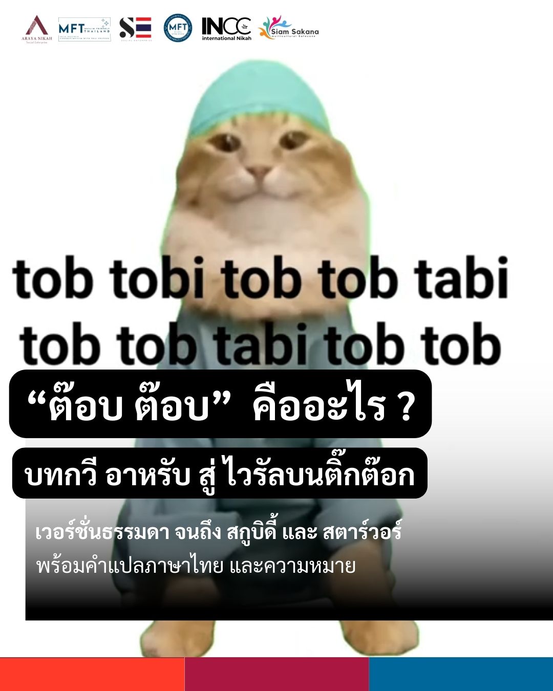 🌟 "ต๊อบ ต๊อบ (Tob Tob) จากบทกวีอาหรับสู่ไวรัลบน TikTok🎶
